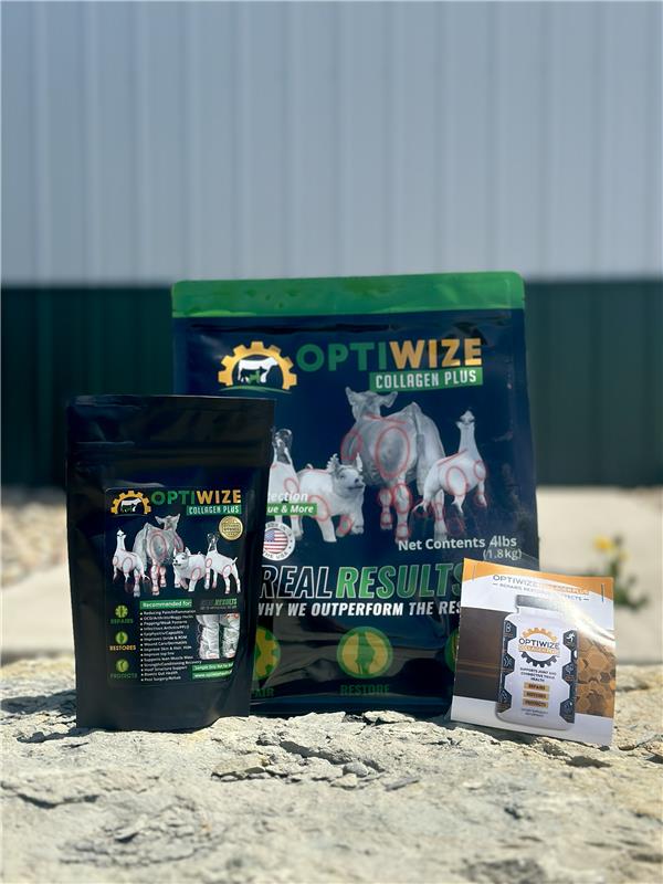 OPTIWIZE – RuleSupplements