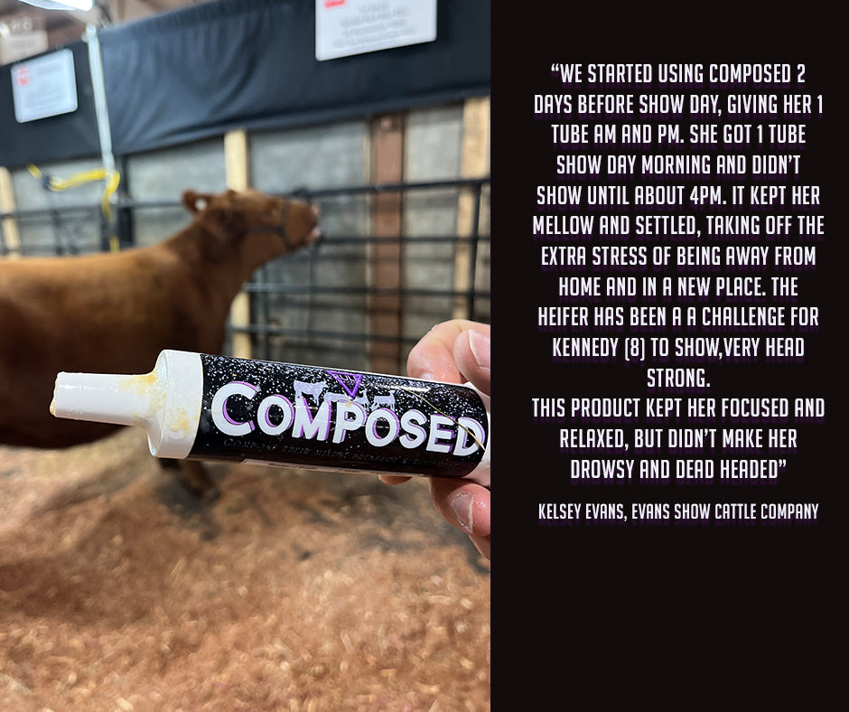 Tips and Tricks – RuleSupplements