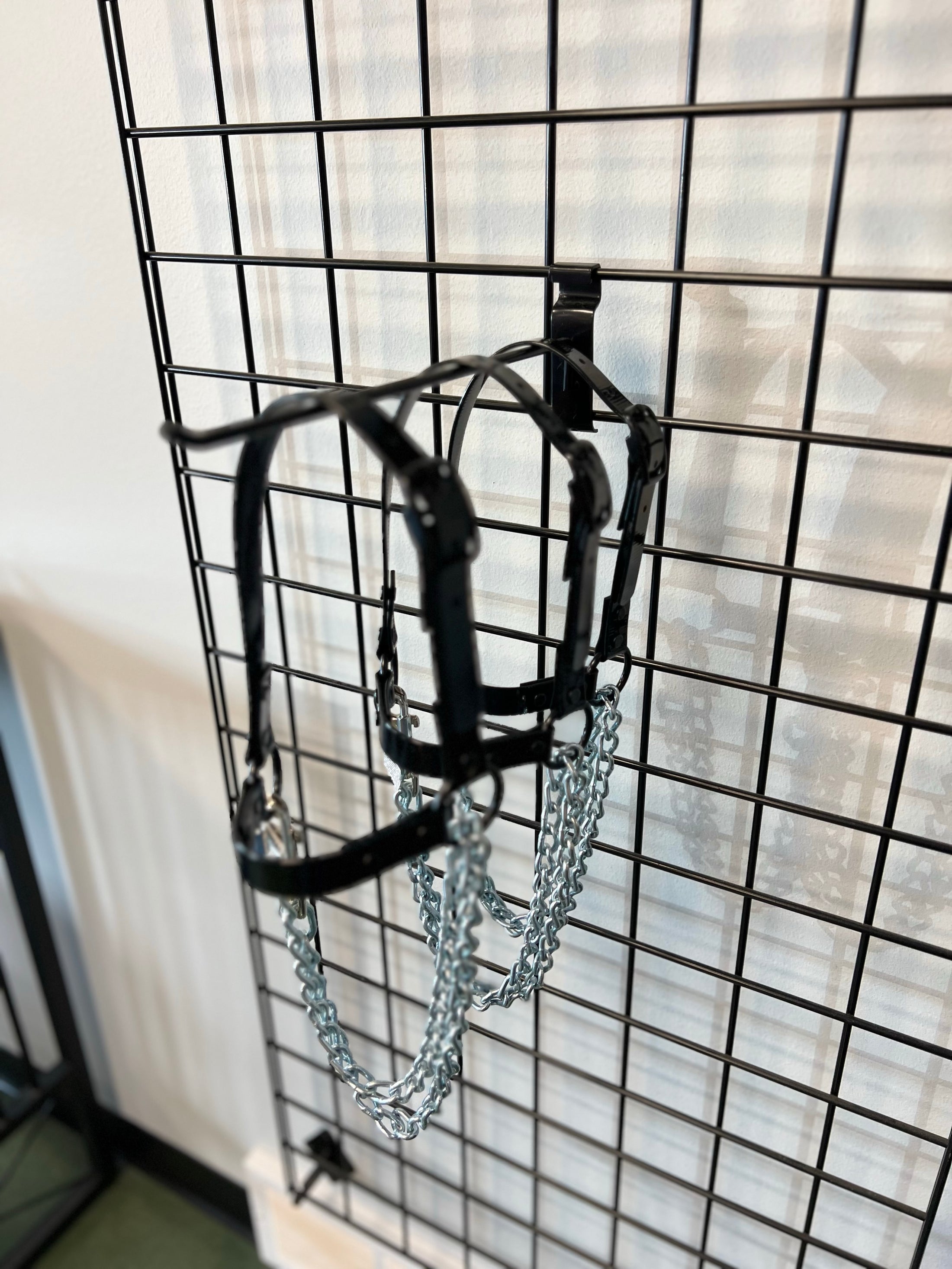 Chain Halters with Long Chains – RuleSupplements