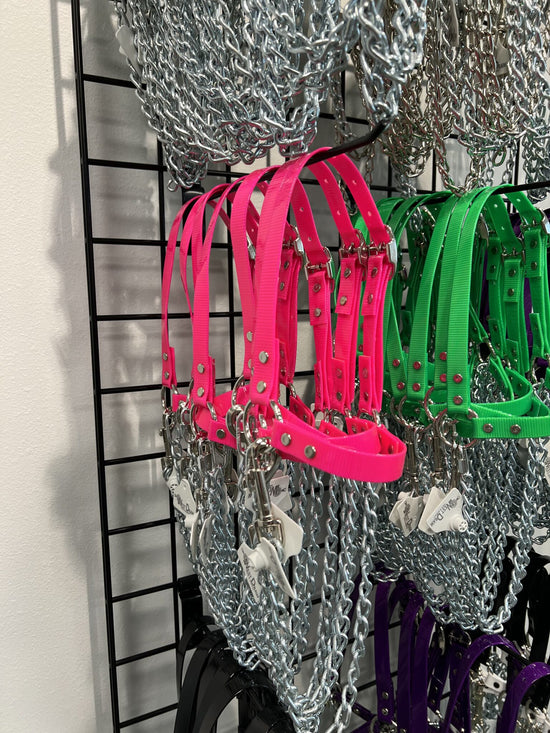 Sheep Chain Halters – RuleSupplements