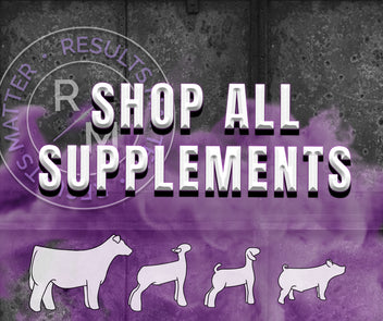 Rule Supplements – RuleSupplements