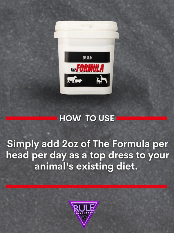 The Formula – RuleSupplements