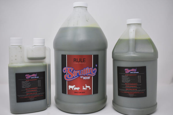 Struttin – RuleSupplements